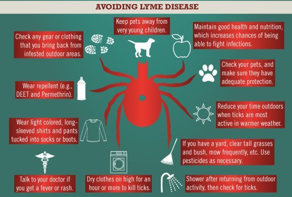 Backyard Bug Busters | Northern NJ Organic Tick & Mosquito Control